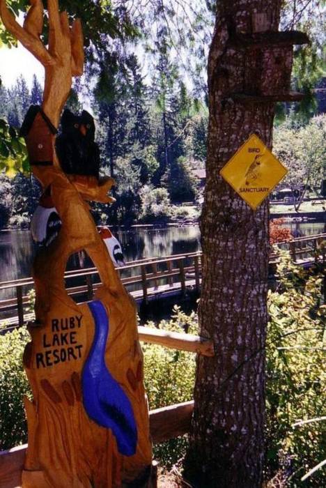 sechelt edgemont skookumchuk bc west coast photographs pictures images