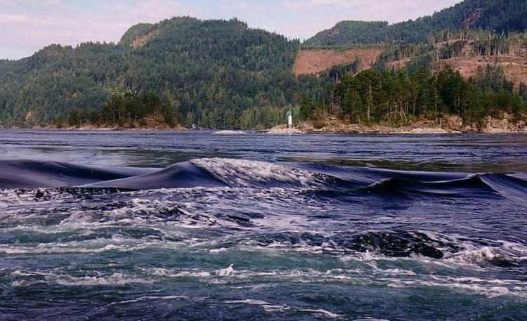 sechelt edgemont skookumchuk bc west coast photographs pictures images